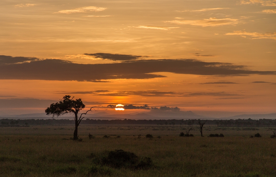 Angama Mara, Masai Mara, Kenya • Hotel Review by TravelPlusStyle