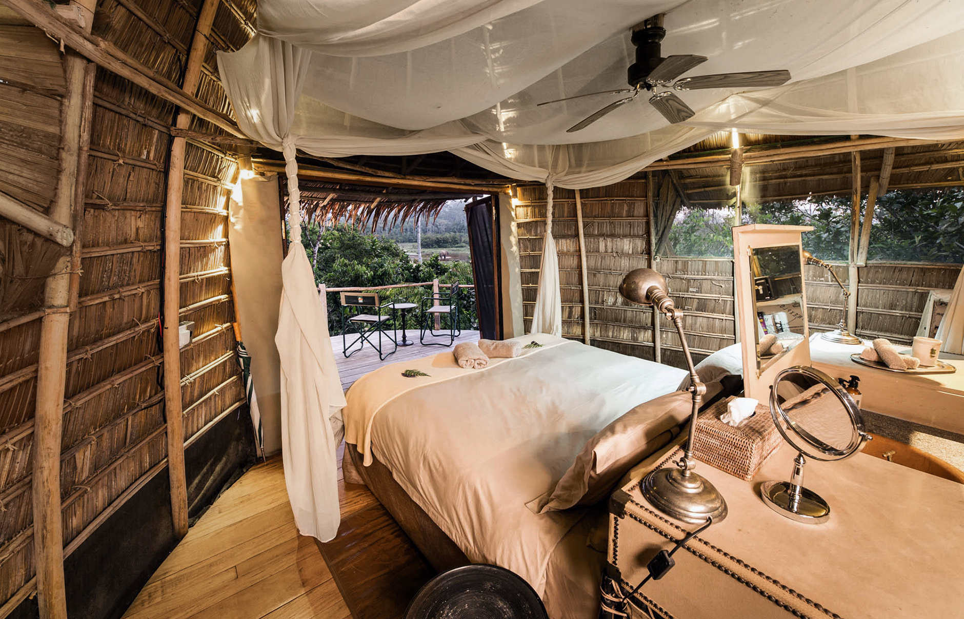 Meeting wild Gorillas in Congo Basin with Kamba Camps