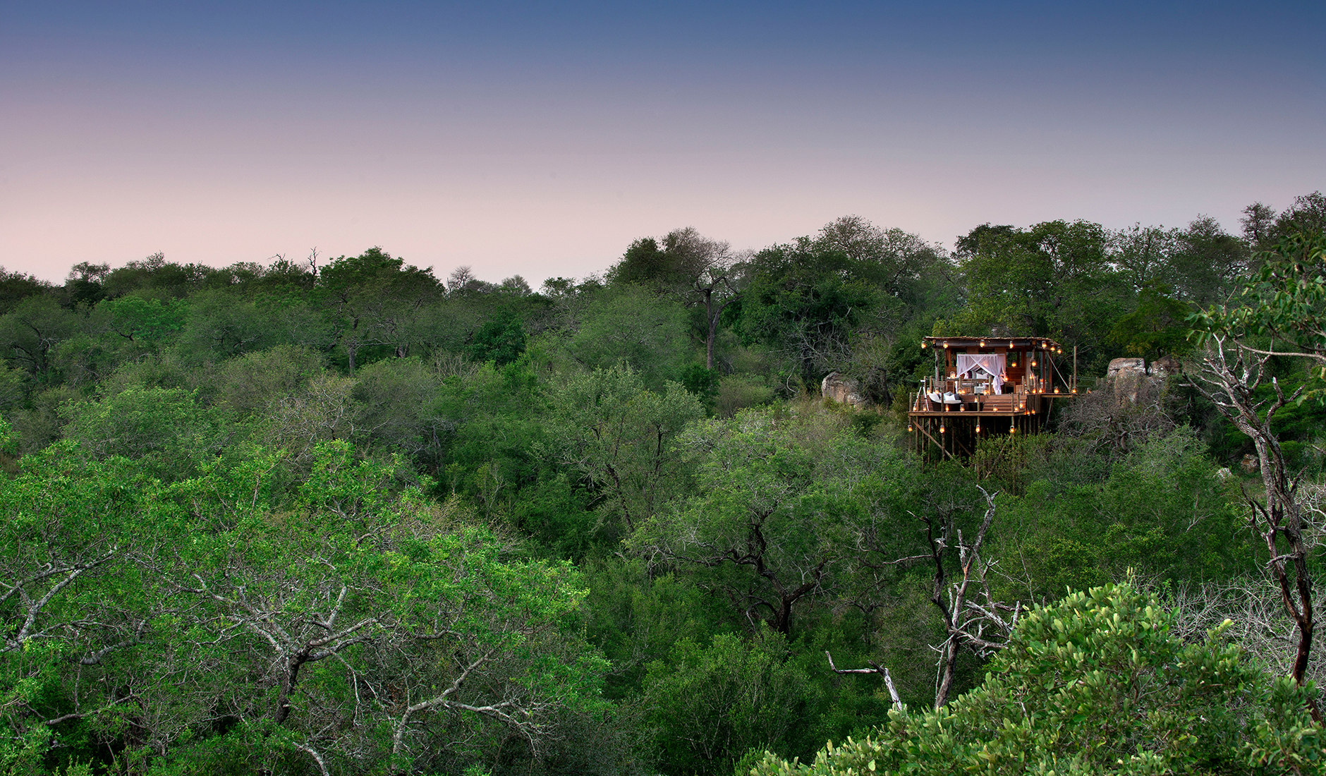 A Treehouse Night at the Lion Sands Private Game Reserve • TravelPlusStyle