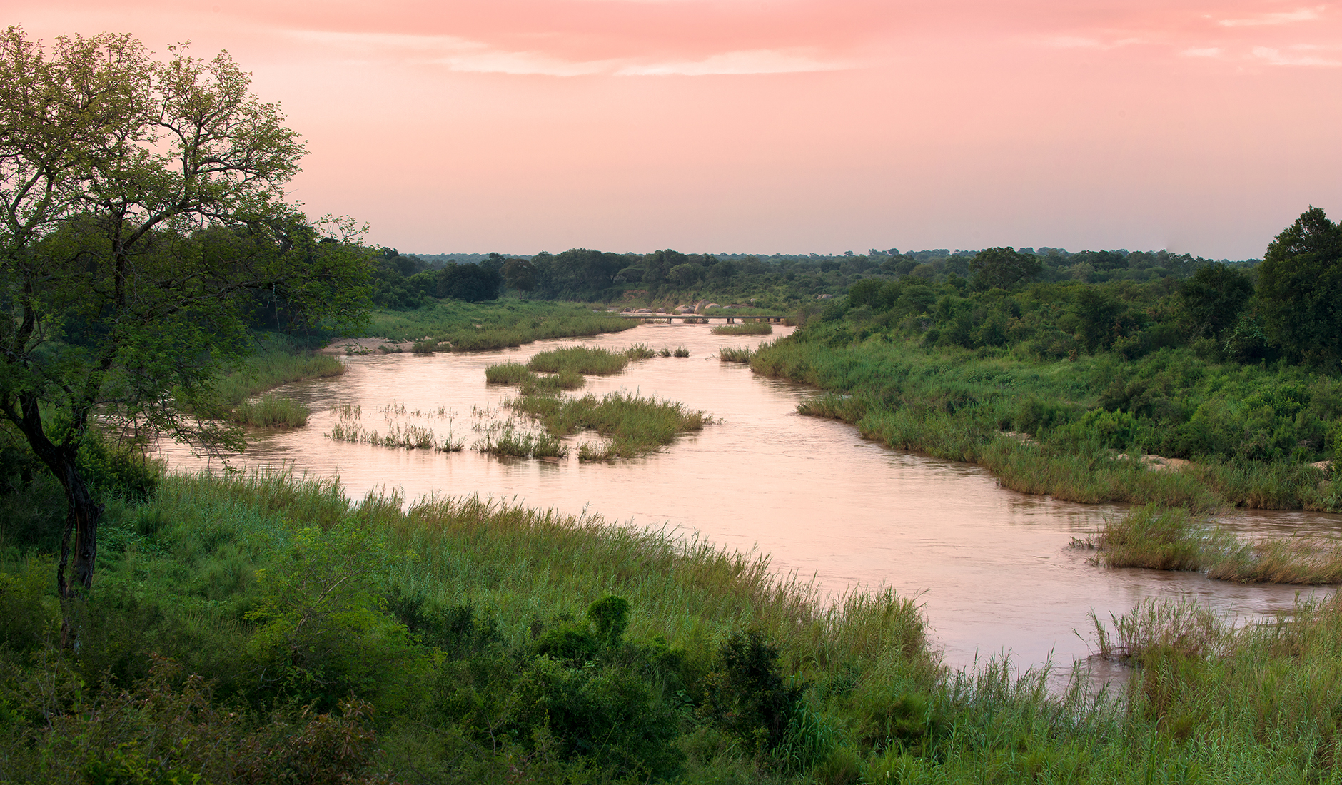 A Treehouse Night at the Lion Sands Private Game Reserve • TravelPlusStyle