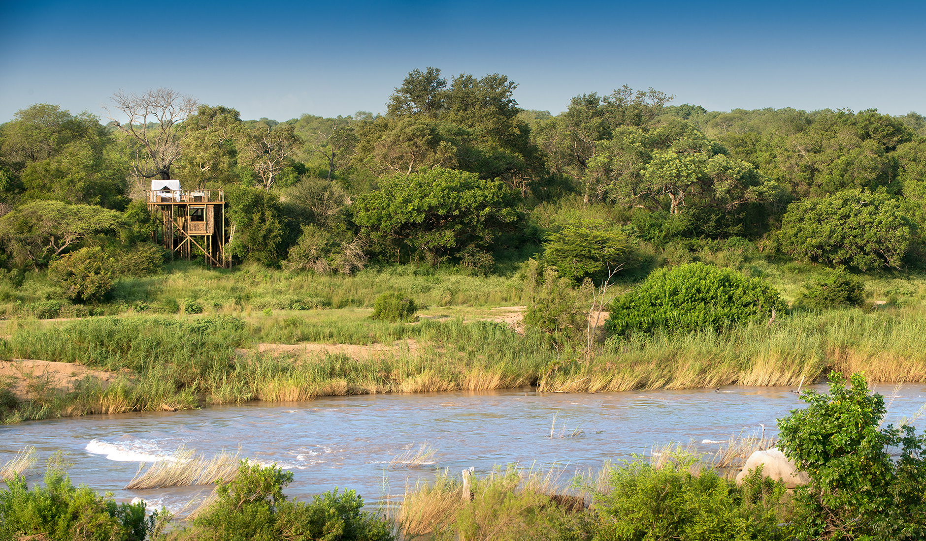 A Treehouse Night at the Lion Sands Private Game Reserve • TravelPlusStyle