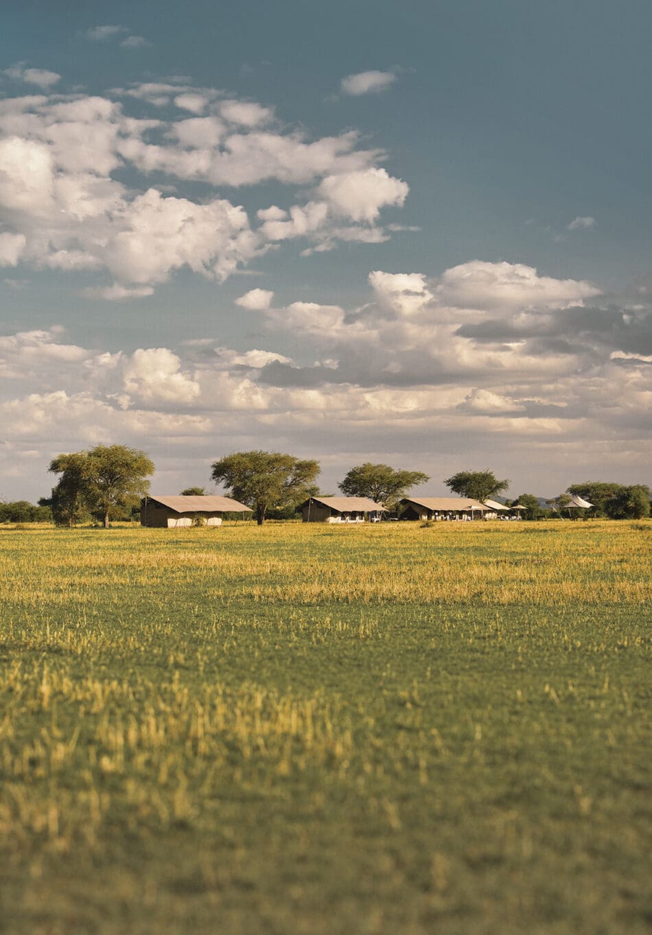 Singita Explore Mobile Tented Camp: return to the essence of safari